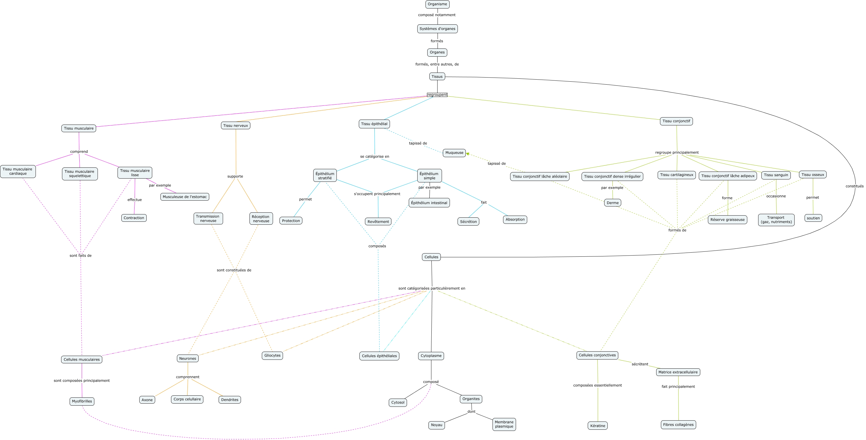 Réseau de concepts - Bio
